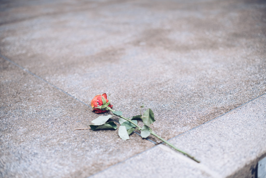 Advancing Skills at the Gashora Girls Academy of Science and Technology ...